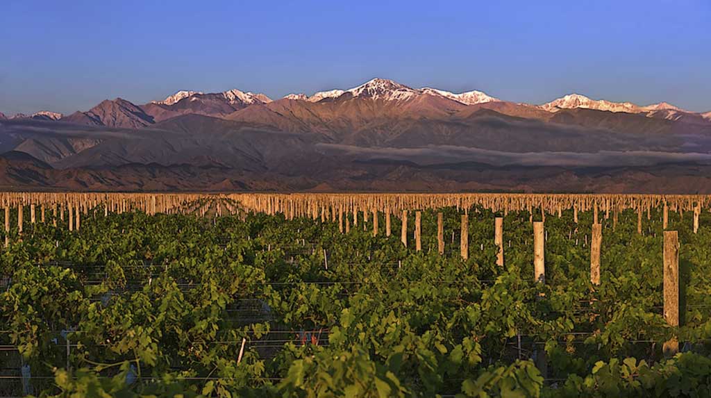 The Vines Resort & Spa - UNQUIET