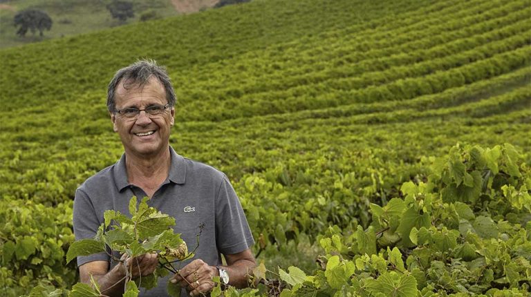 Vinhos, azeites e café da Mantiqueira | Brasil | Revista UNQUIET